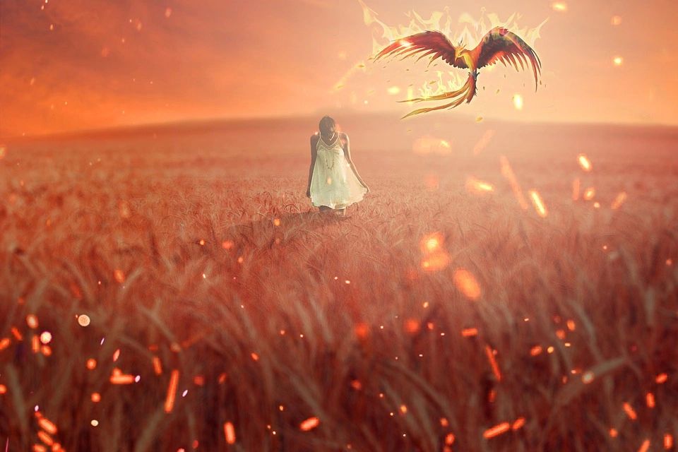 Phoenix Rising Spiritual Readings and Healing