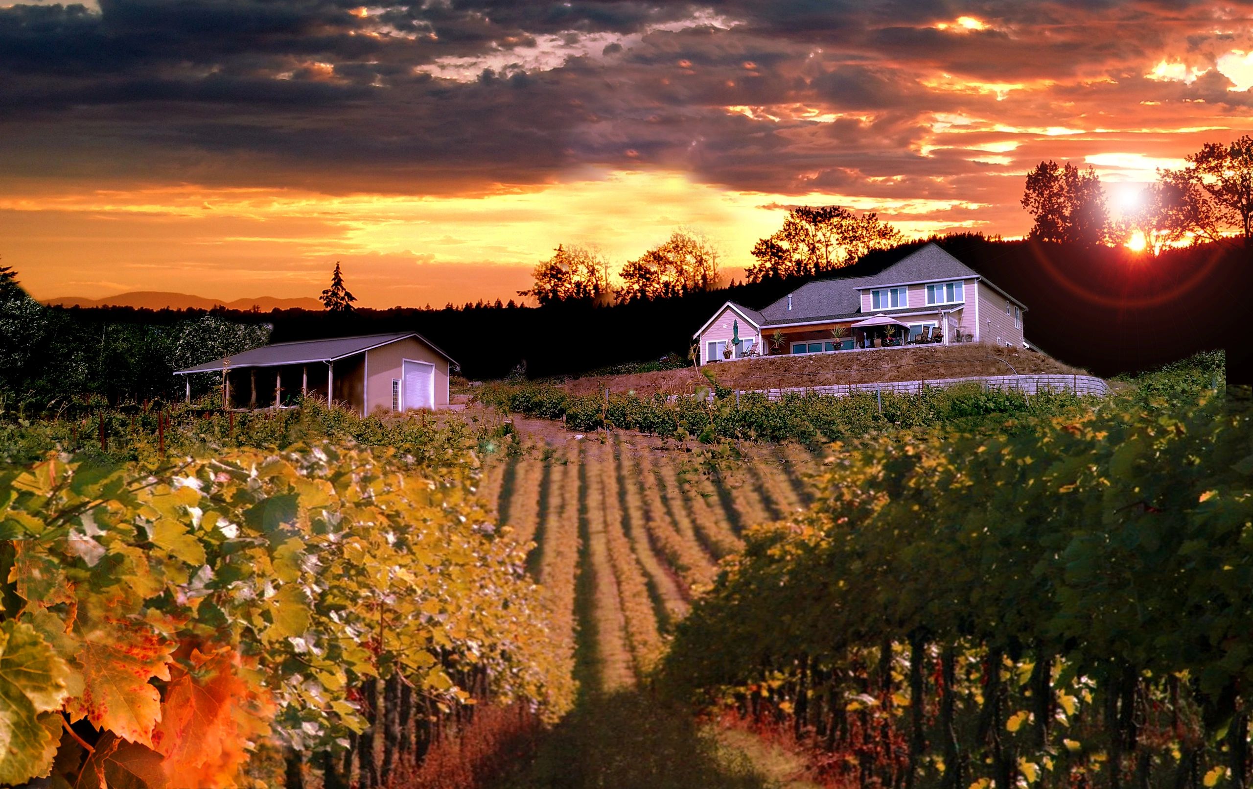 Skagit Crest Vineyard & Winery - Home