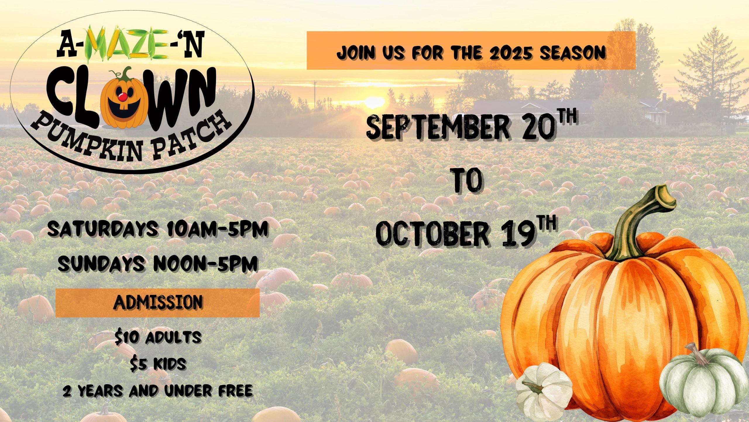 Corn Maze, Pumpkin Patch - Amazenclownpatch - Jamestown, North Dakota