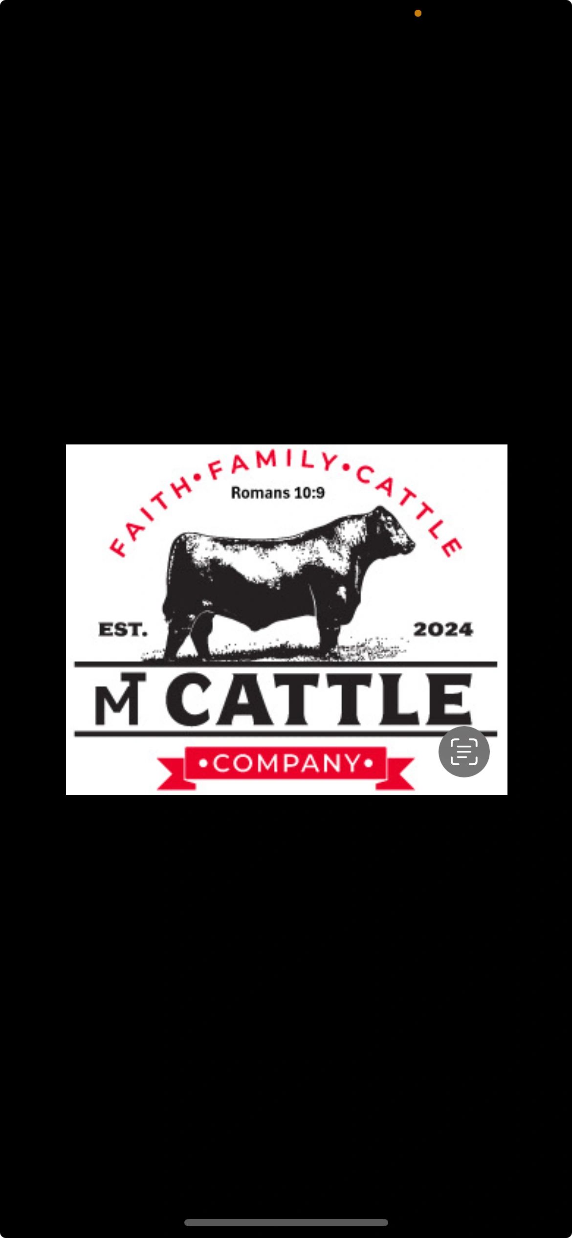 Premium Cattle Ranch | Quality Livestock & Breeding