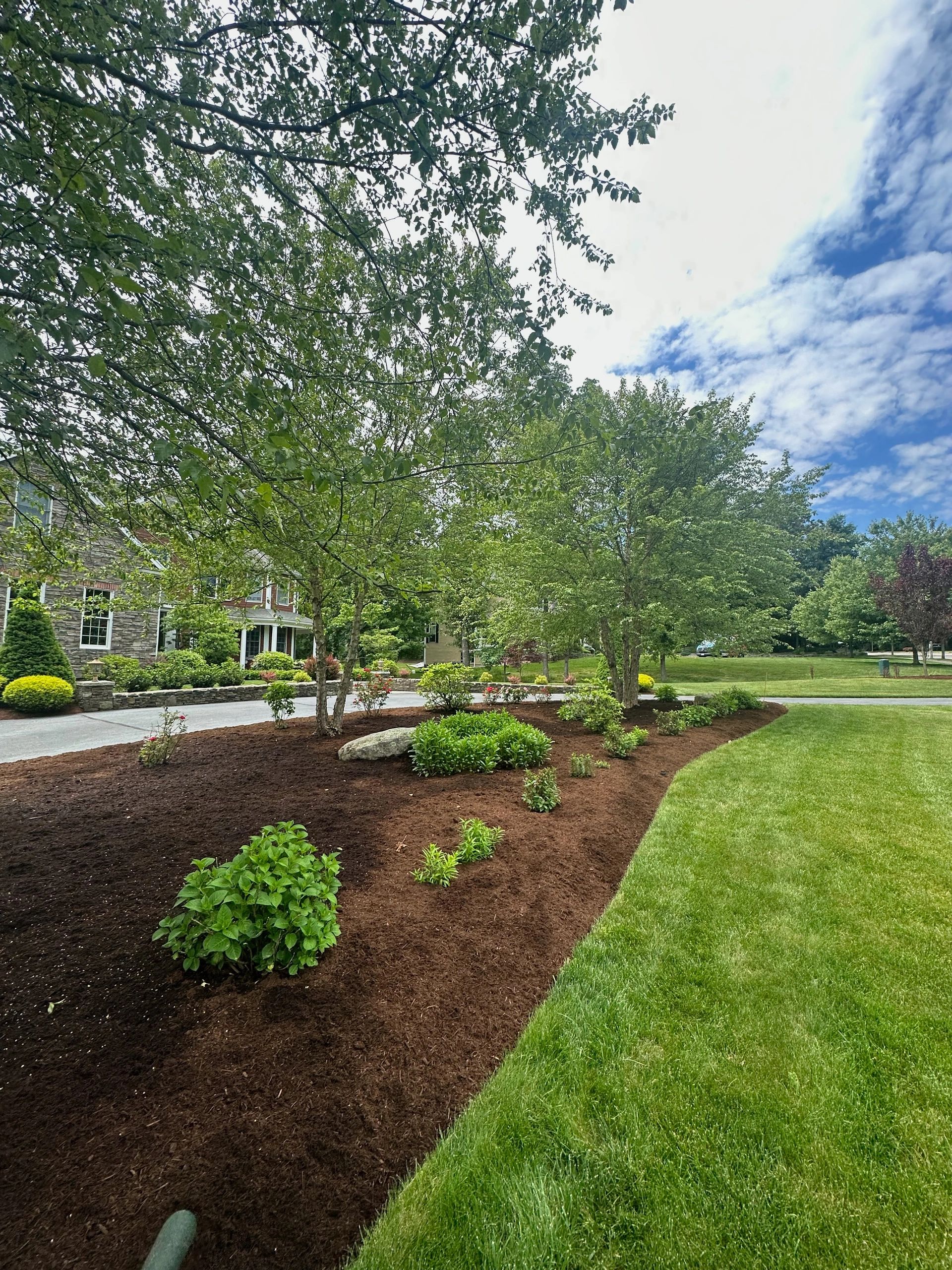 Professional Residential Lawn Care Services