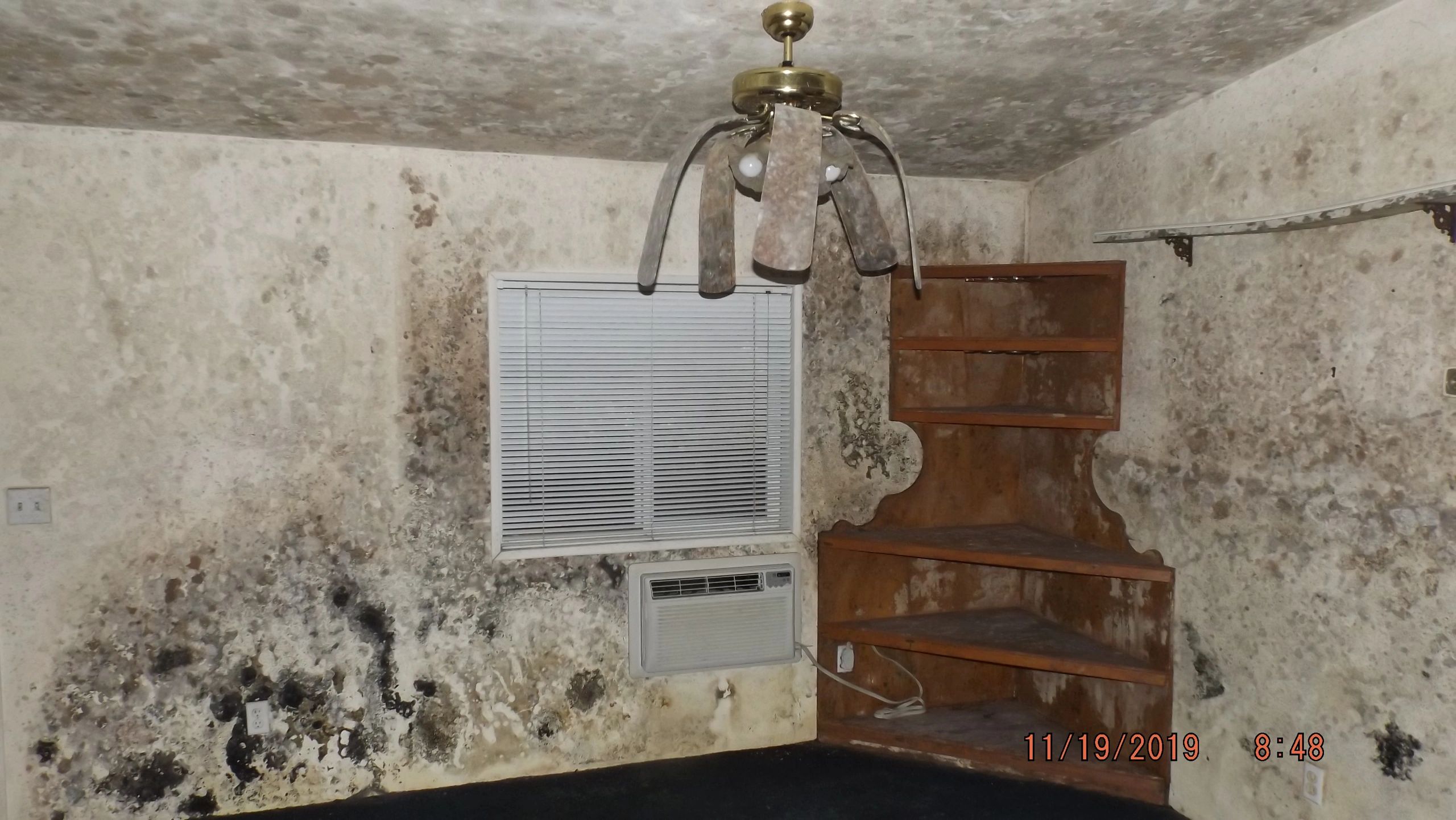 Expert Mold Remediation / Water Damage Restoration Services - Mr Mold, LLC