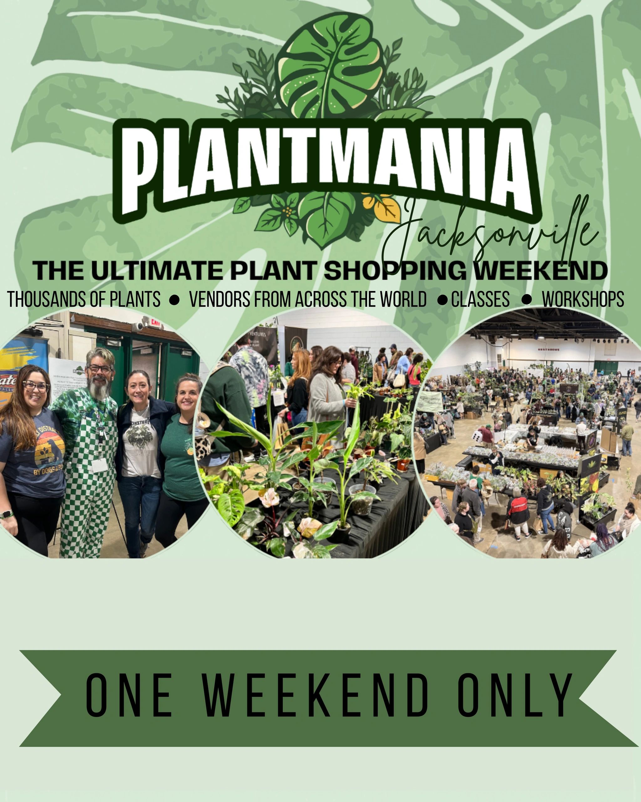 Rare Plant Expo: A Paradise for Plant Lovers