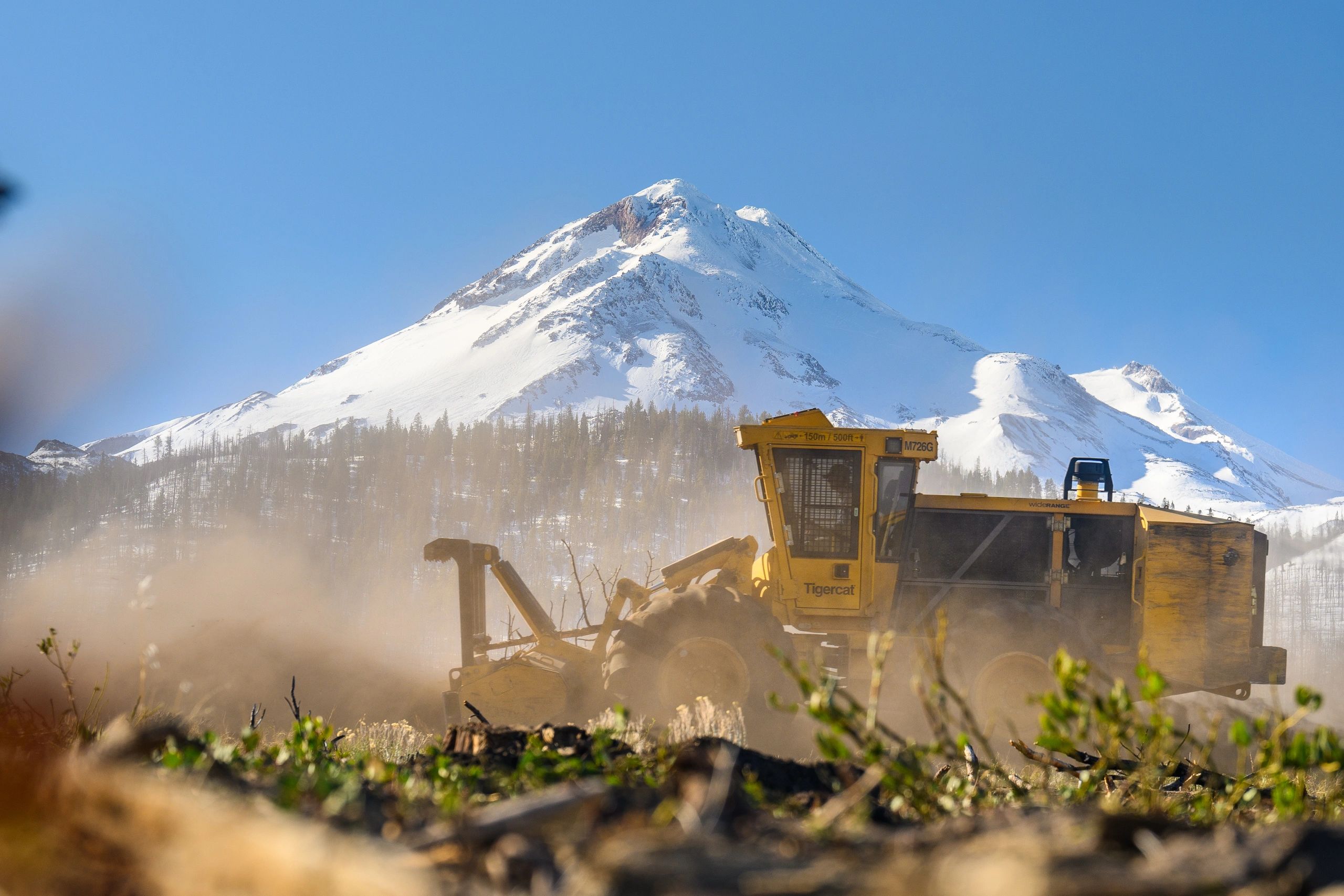 Thompson Land Management, LLC - Home