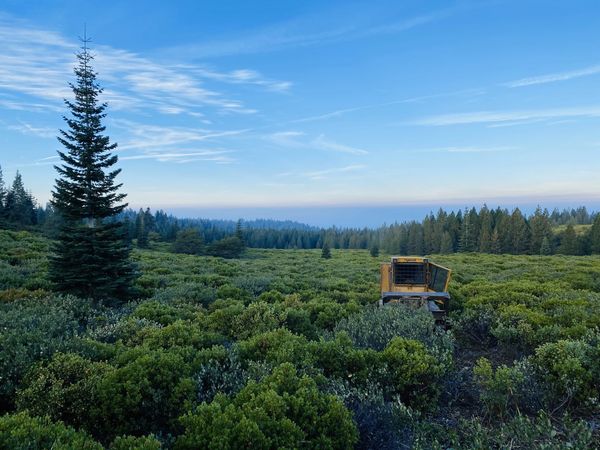 Thompson Land Management, LLC - Home