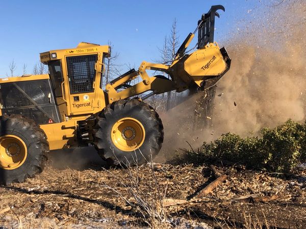 Thompson Land Management, LLC - Home