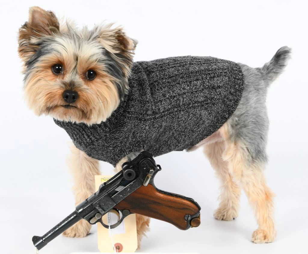 Auction Item Pick-up