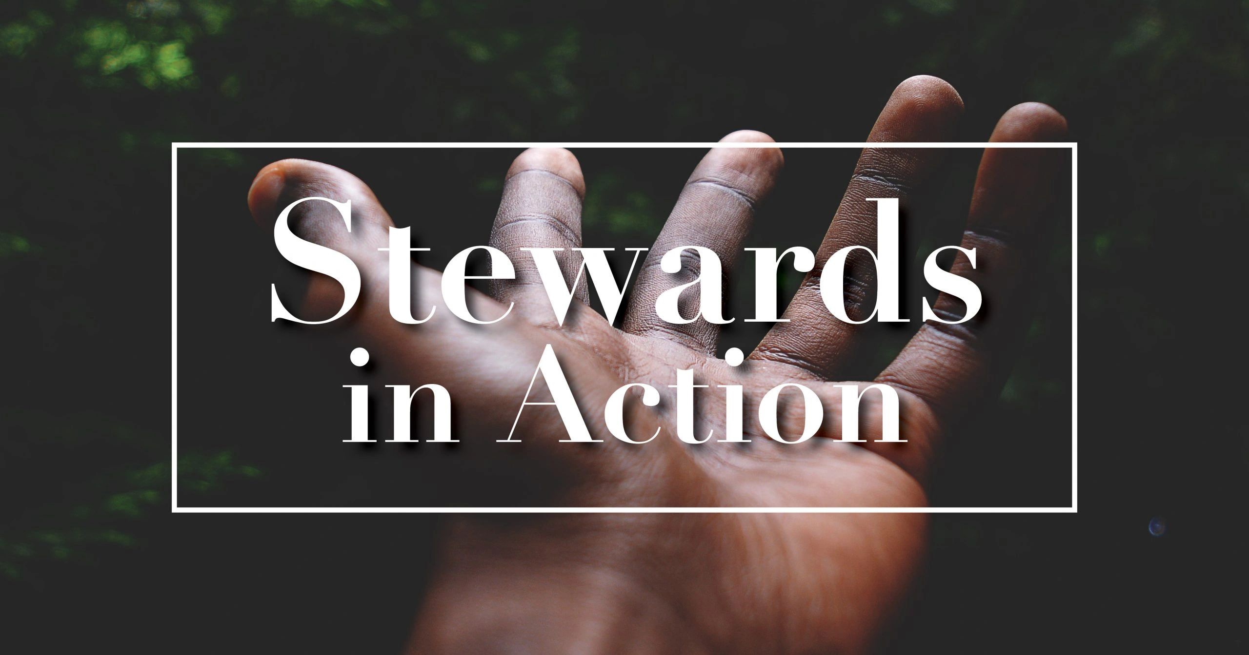 Church of Stewardship and Discipleship