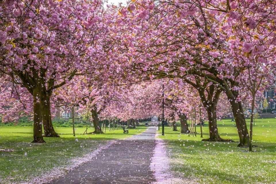 EverKind Services | Your Life, Your Way