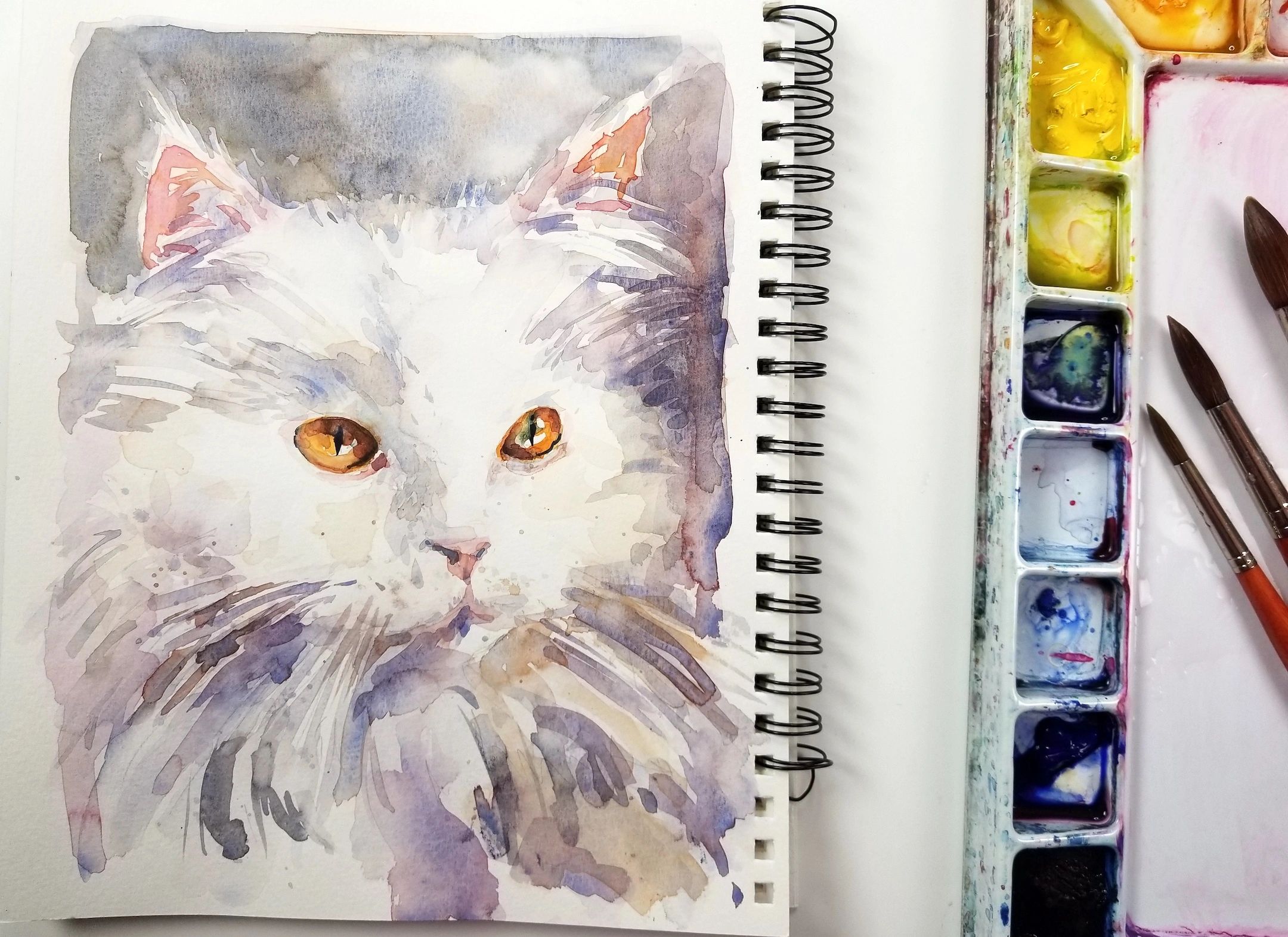 How to paint a White cat