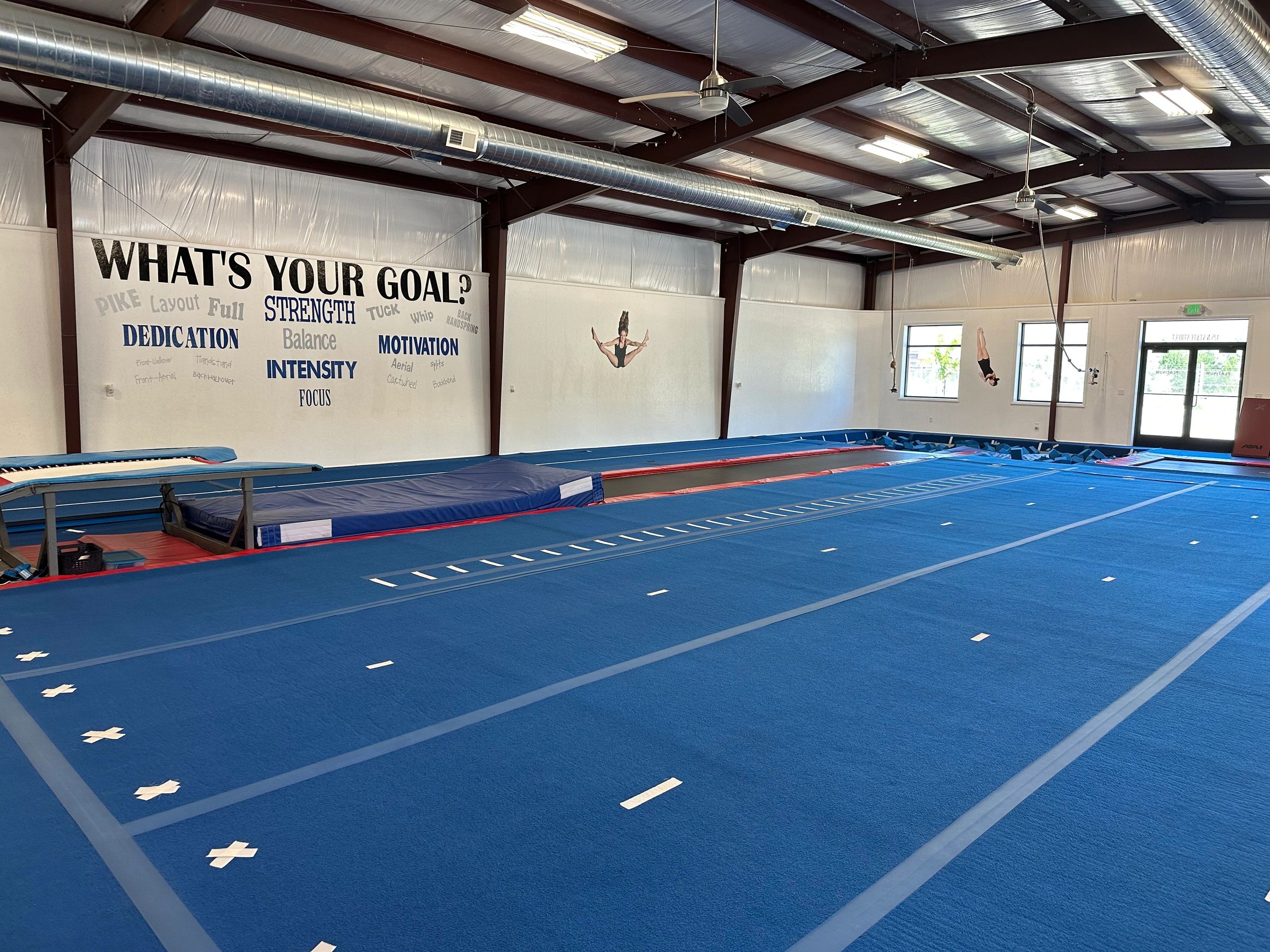 Platinum Power Tumbling