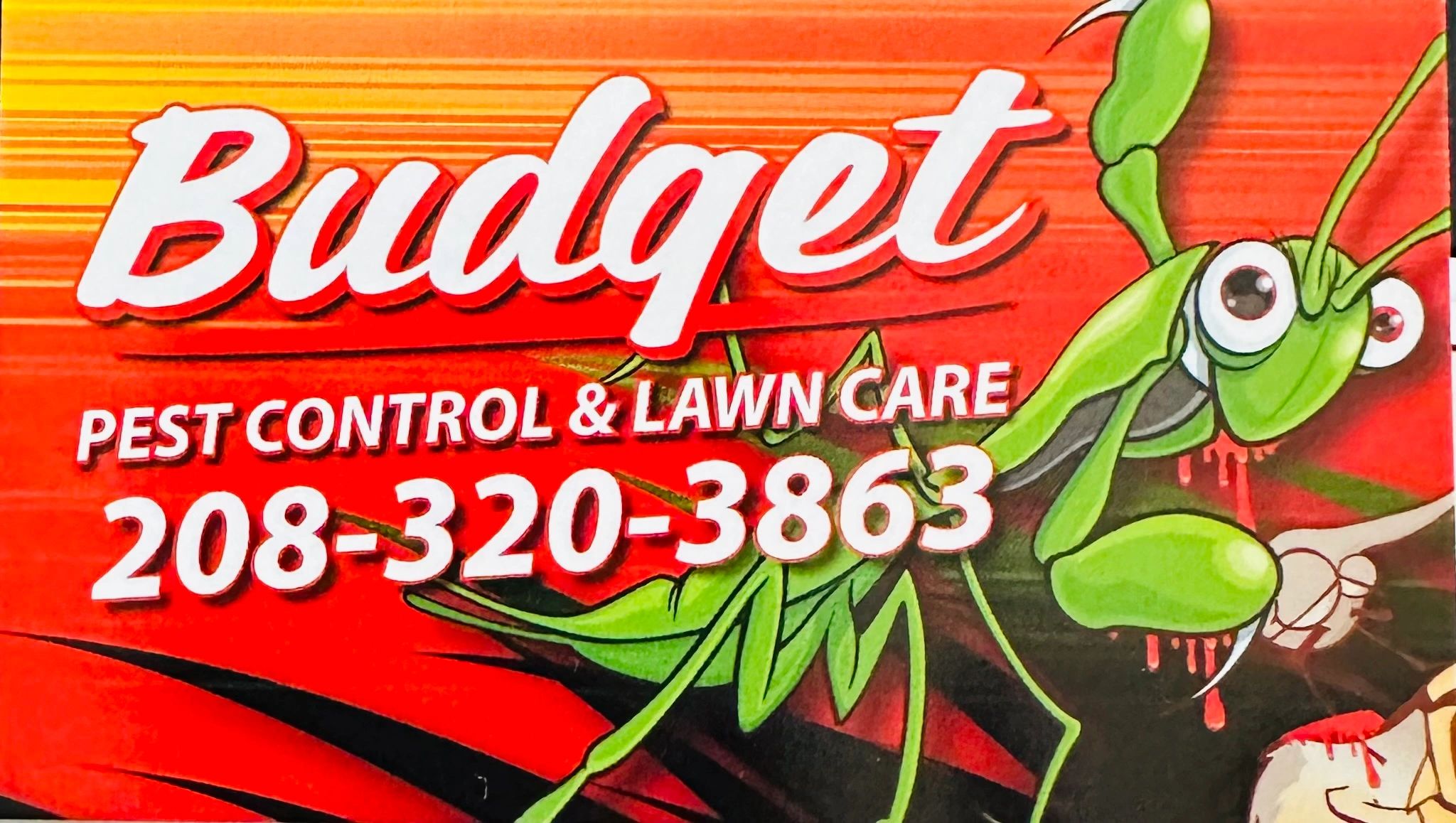 Budget Pest Control Spray Service