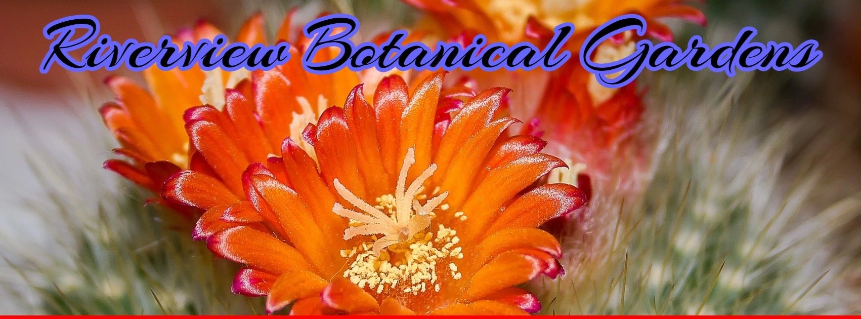 riverviewbotanicalgardens.com