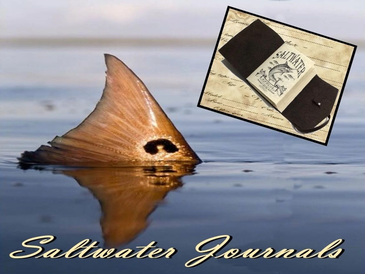 HunterHillsJournal - Saltwater Fishing Journal, Saltwater Fishing ...
