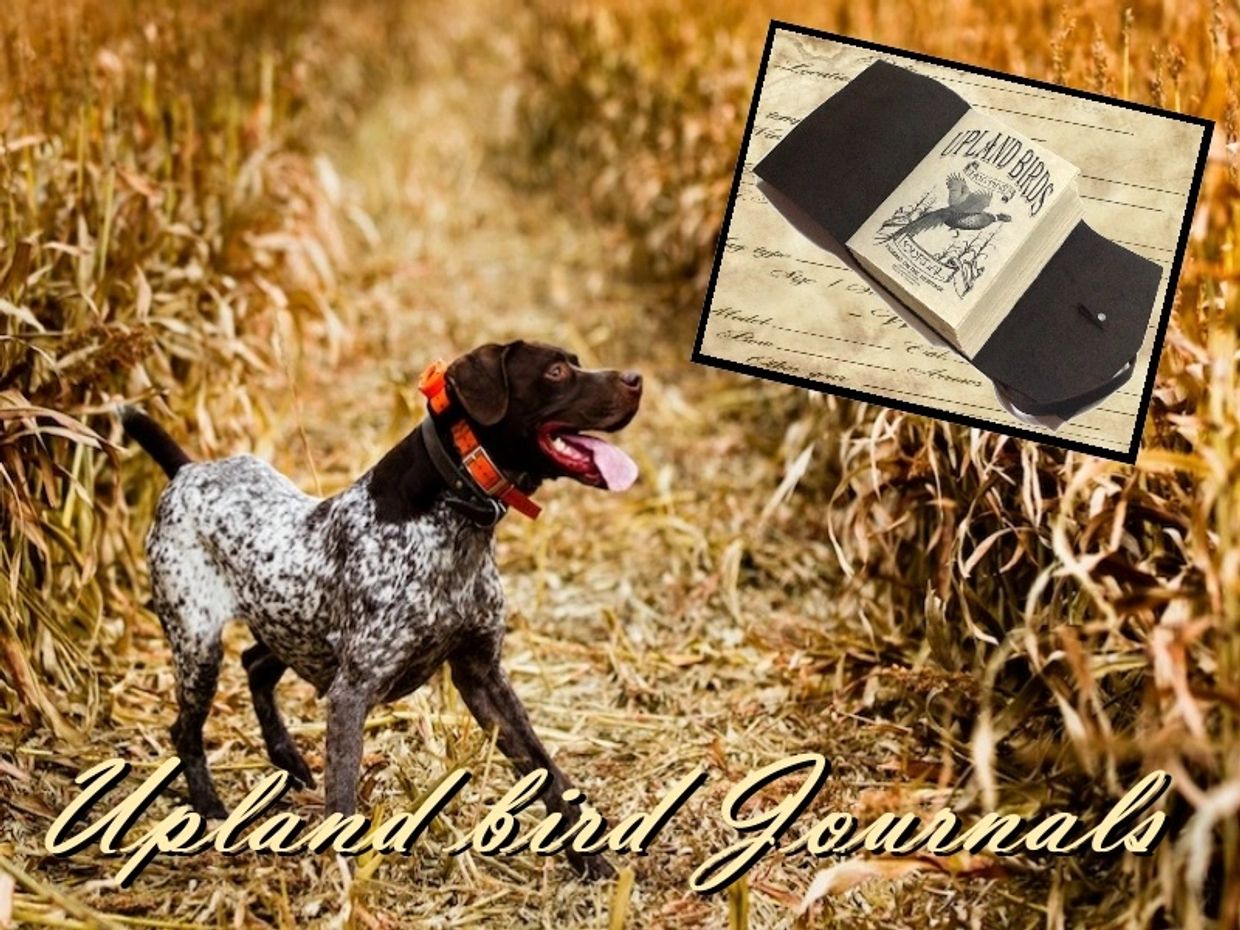 HunterHillsJournal - Upland Bird Journal, Pheasant Hunting, Bird Hunting