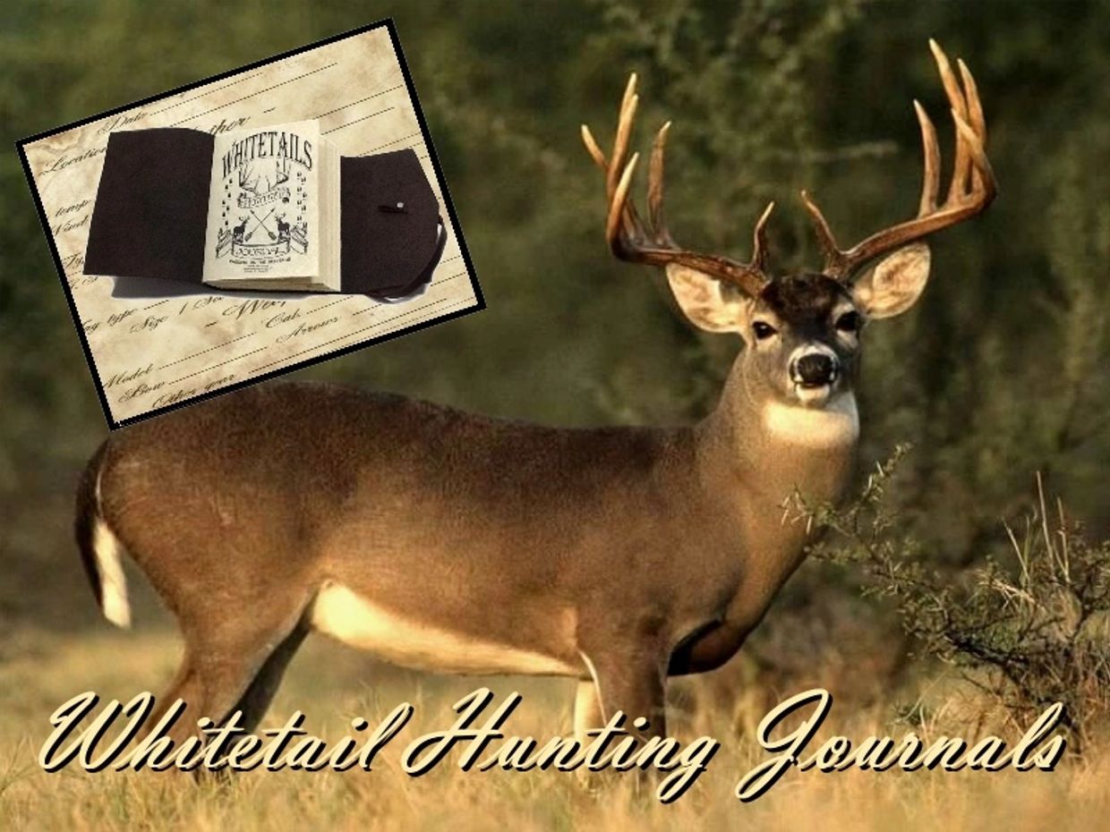 HunterHillsJournal - Whitetail Hunting Journal, Whitetail Hunting ...