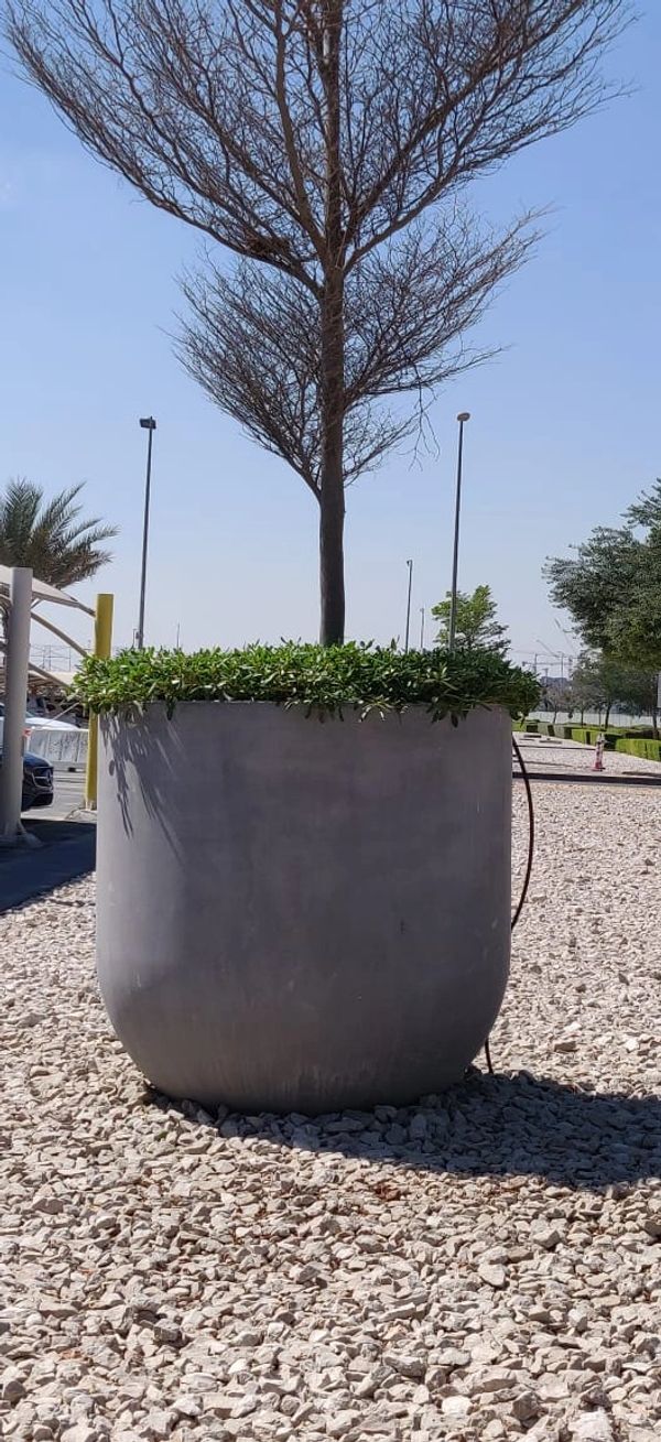 PRODUCTS | Concrete World