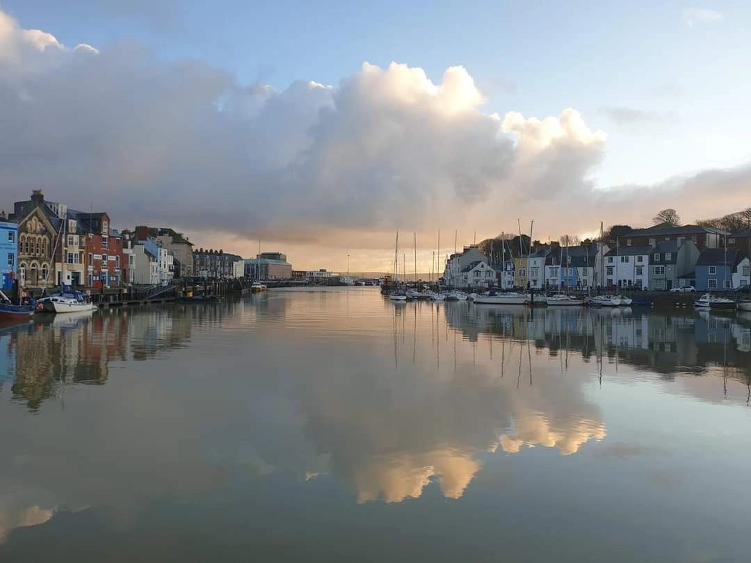 Sharon Nicholson Counselling - Counselling, Therapy, Online Counselling ...