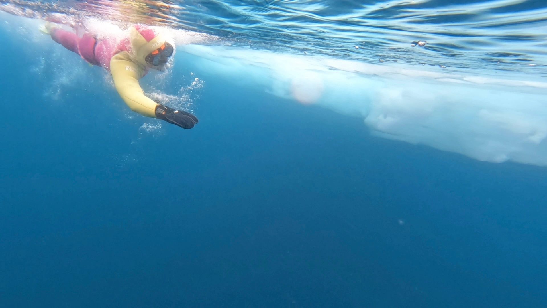 Great Arctic Swim is Complete