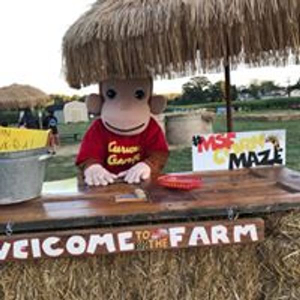 Maryland Corn Maze - Corn Maze, Fall Festival