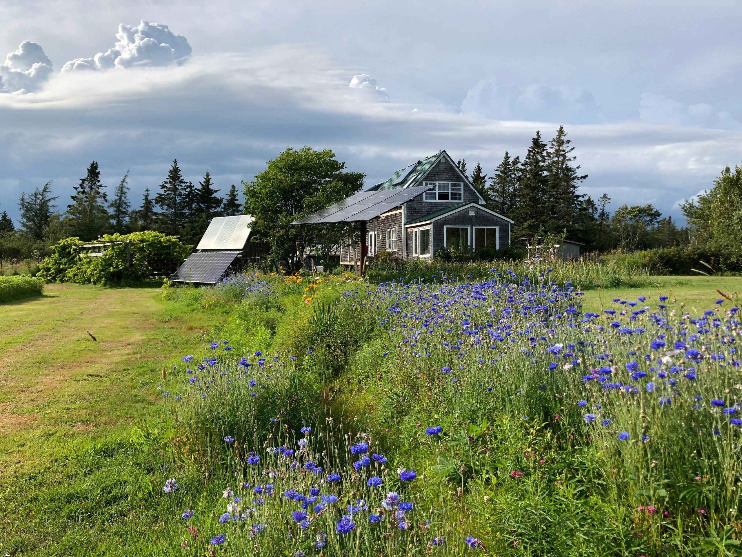 Jolicure Farm - Local Produce - Jolicure, New Brunswick