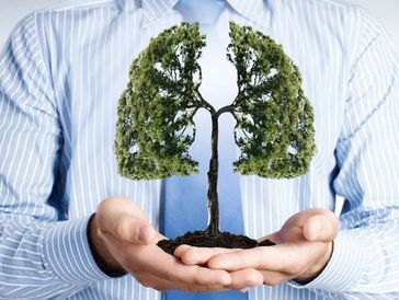 Rural Roots - RURAL ROOTS LOUISIANA