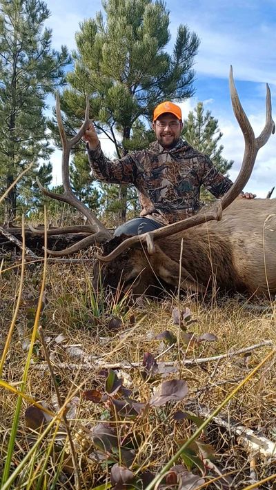 Elk Hunts | Yuma Outfitter