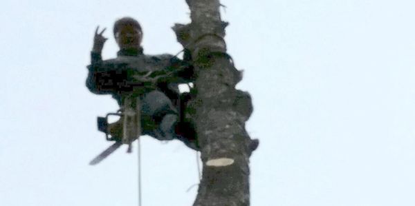 Augusta Southern Tree Removal, LLC