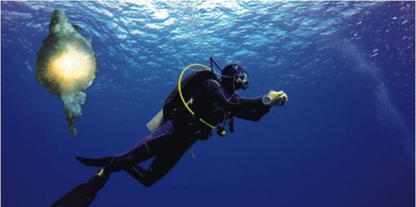 Underwater Port Security - Counter UUV | Maritime Arresting Technologies