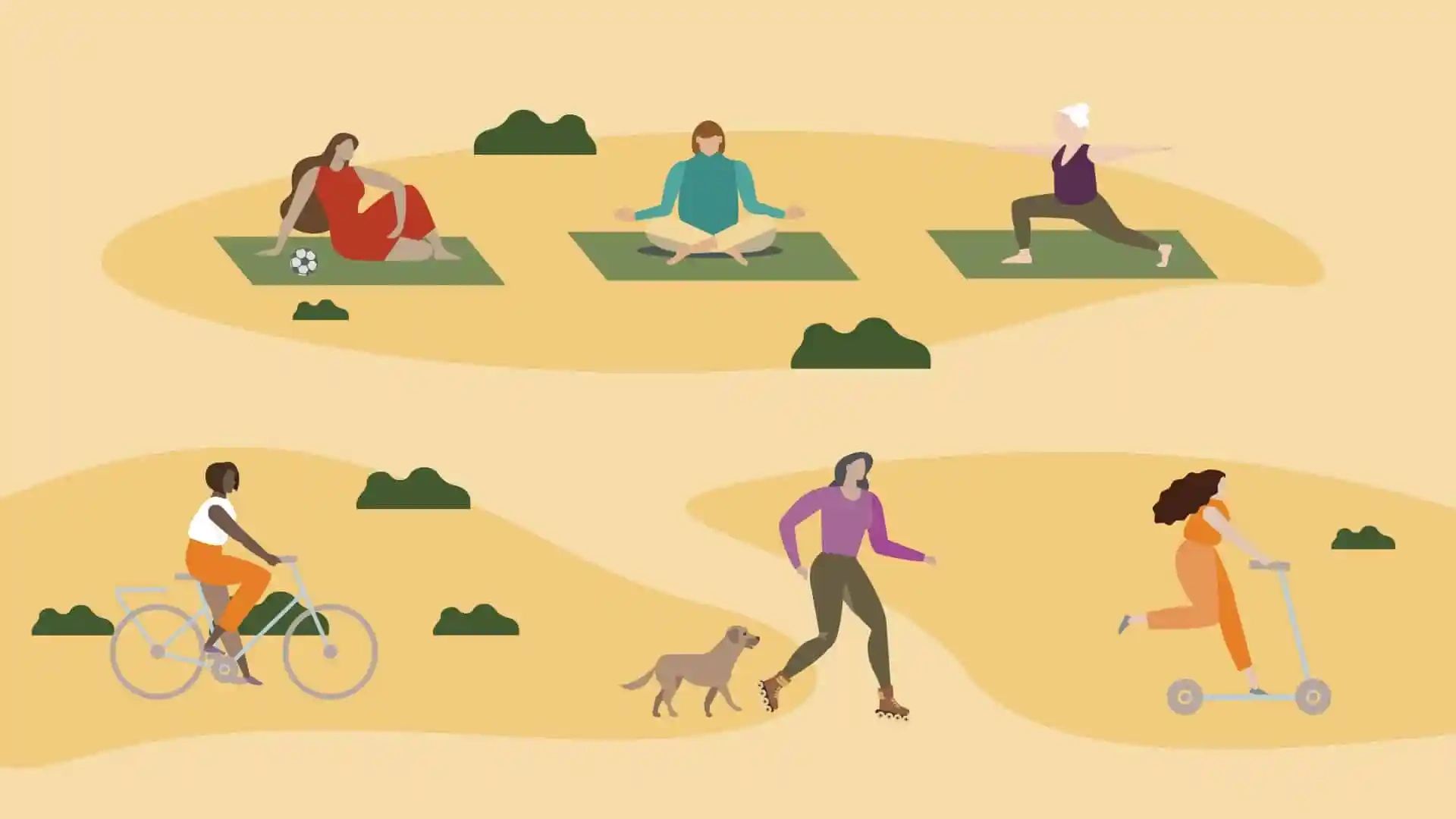 Health and Physical Literacy