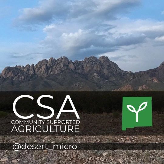 12 Week CSA Farm Share Subscription Home Delivery to Las Cruces