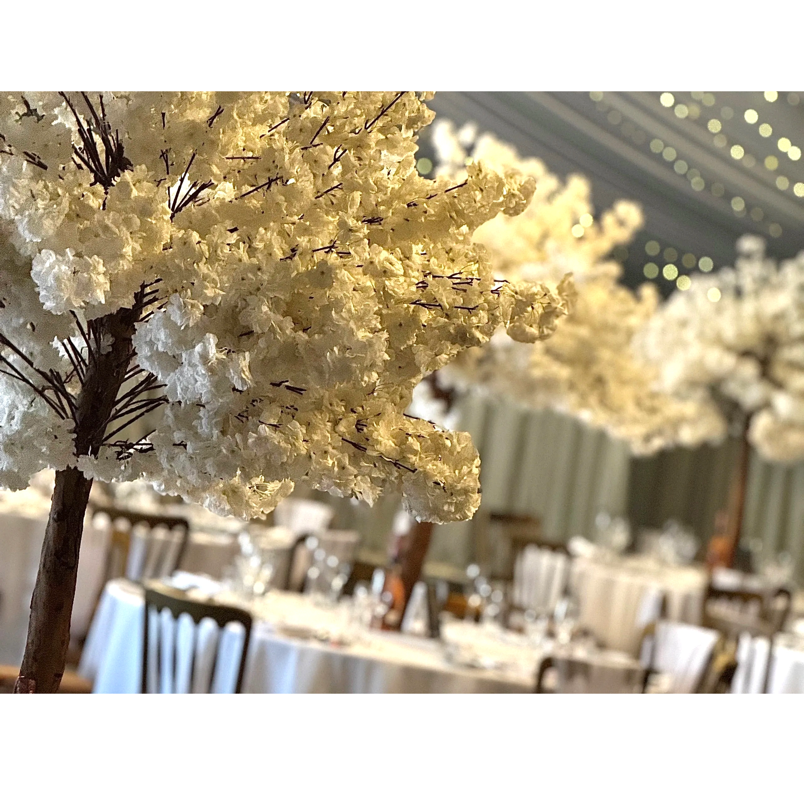 Stunning Event Decorations for Every Occasion