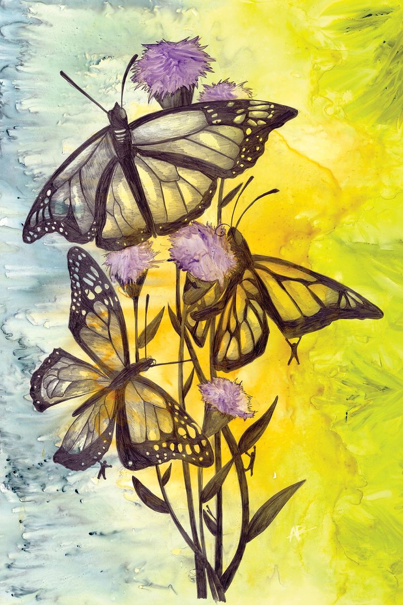 Floating Butterflies