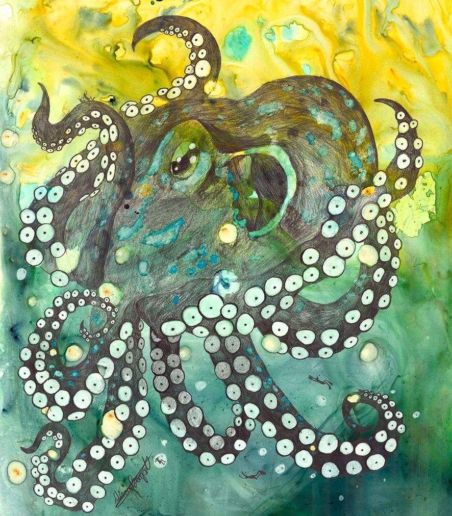 Green Bay Octopus