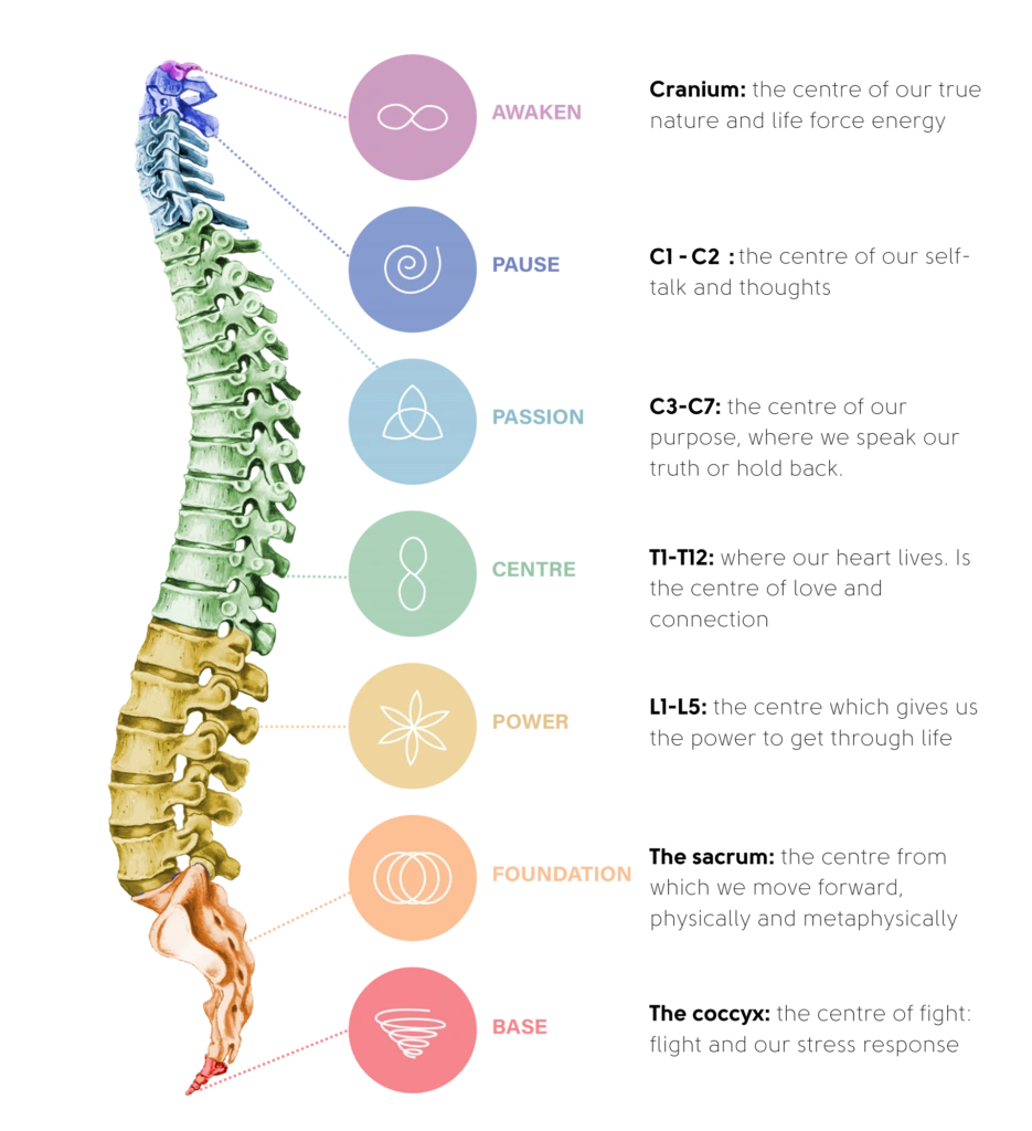 spinalflowcaloundra.au