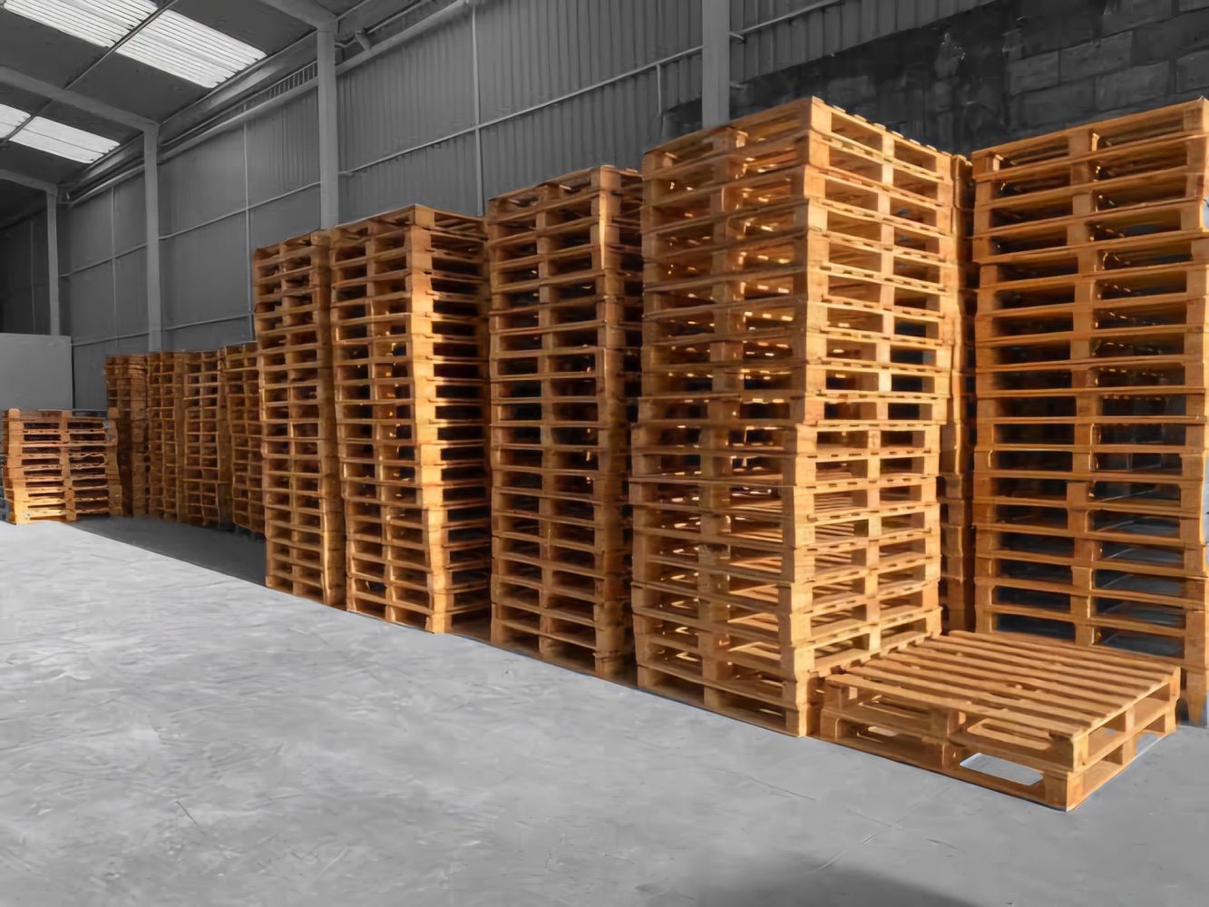 Tarimas De Madera + Tarimas De Plástico - TIM PALLETS