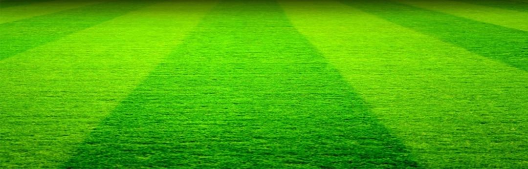 Freestanding Aluminium Rear Roller Goals (4)