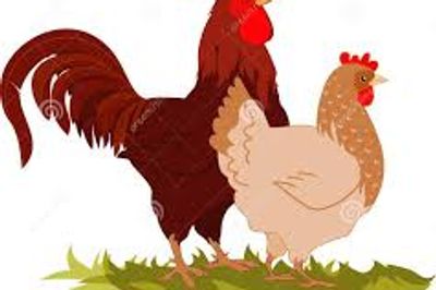 Elizabethtown Country Club - Country Club, Golf