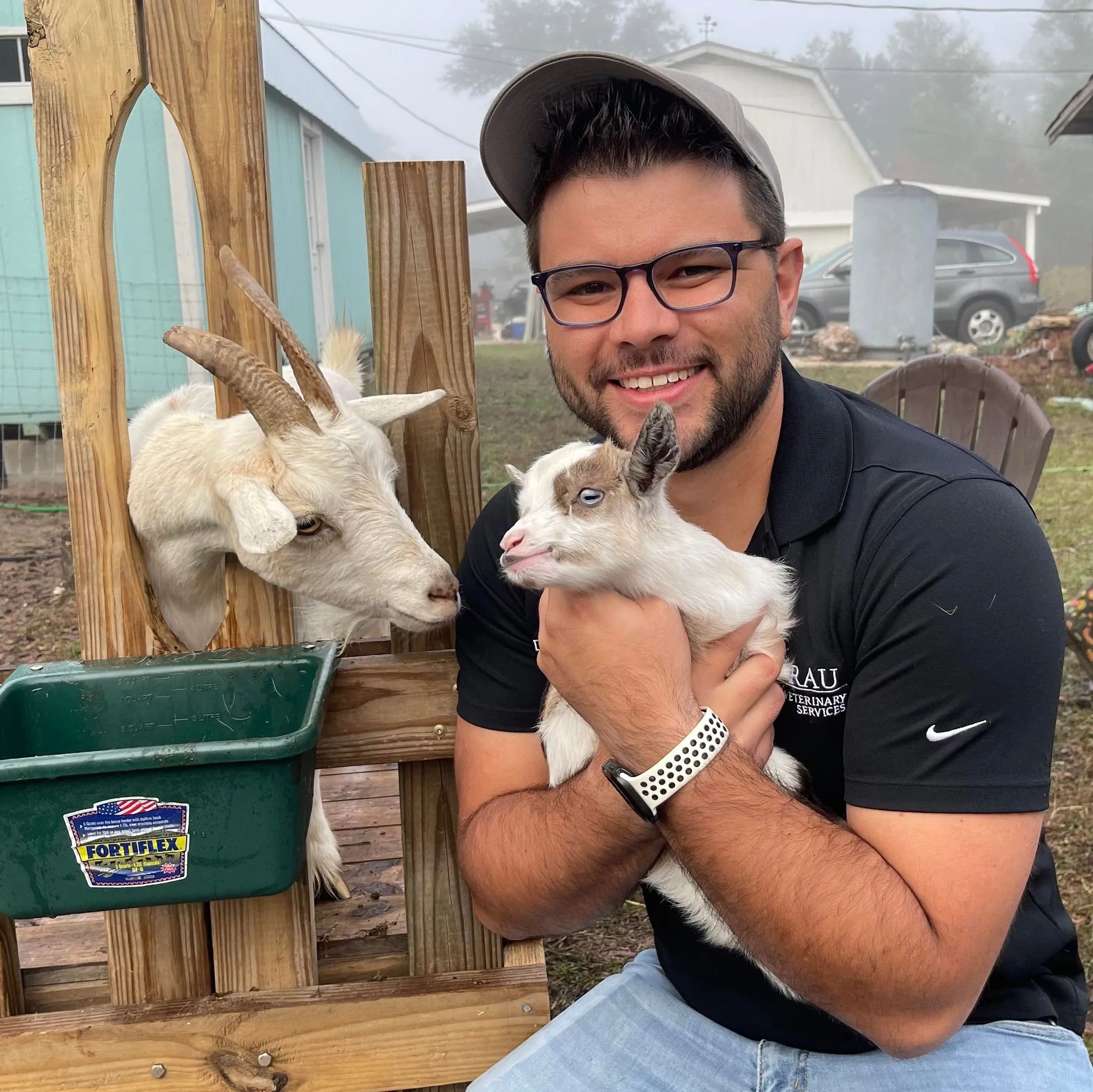 Ruminant Vet - Grau Veterinary Services