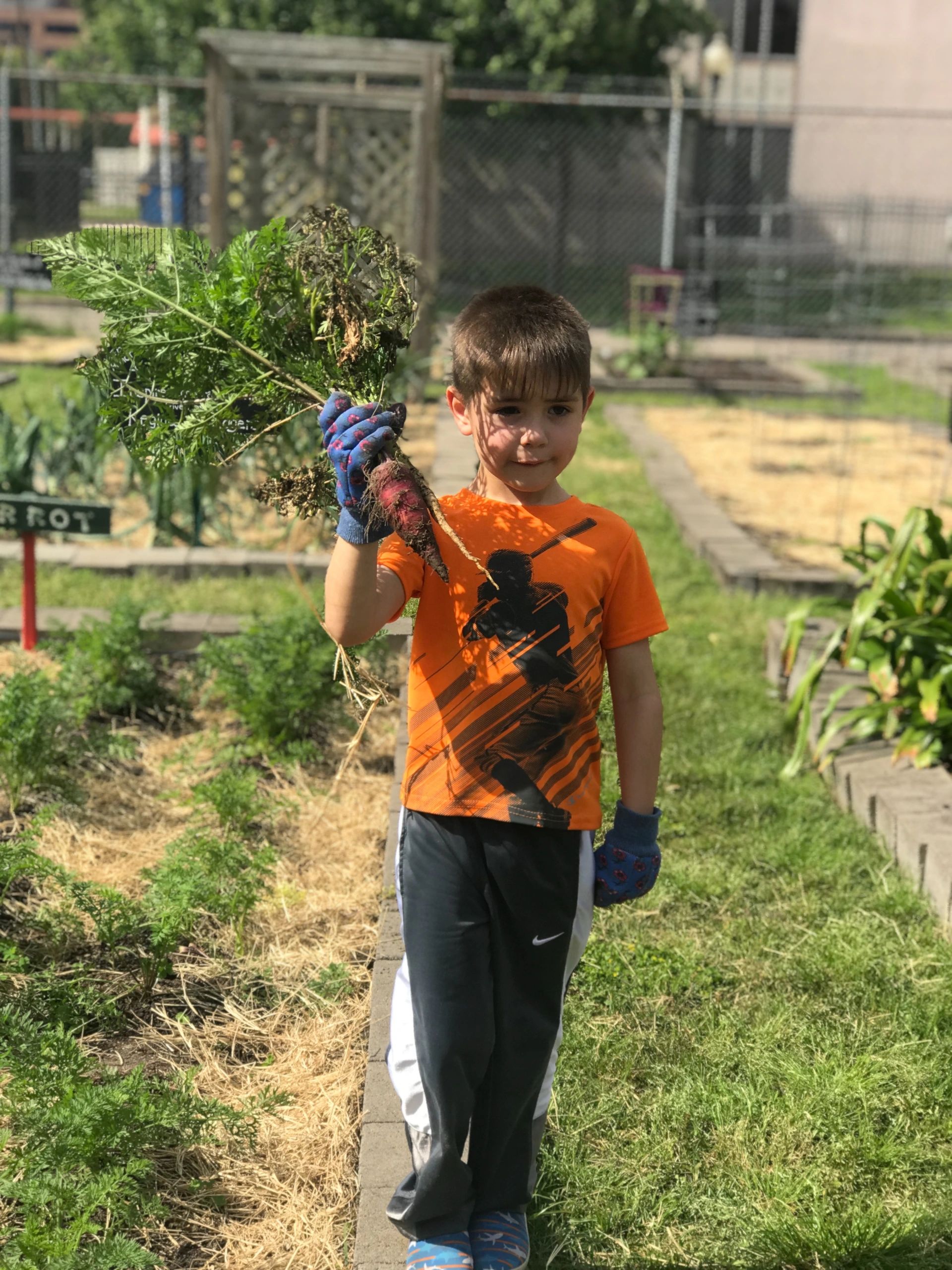 TIPS BY NICK- Ideas to Get Your Kids Into Gardening