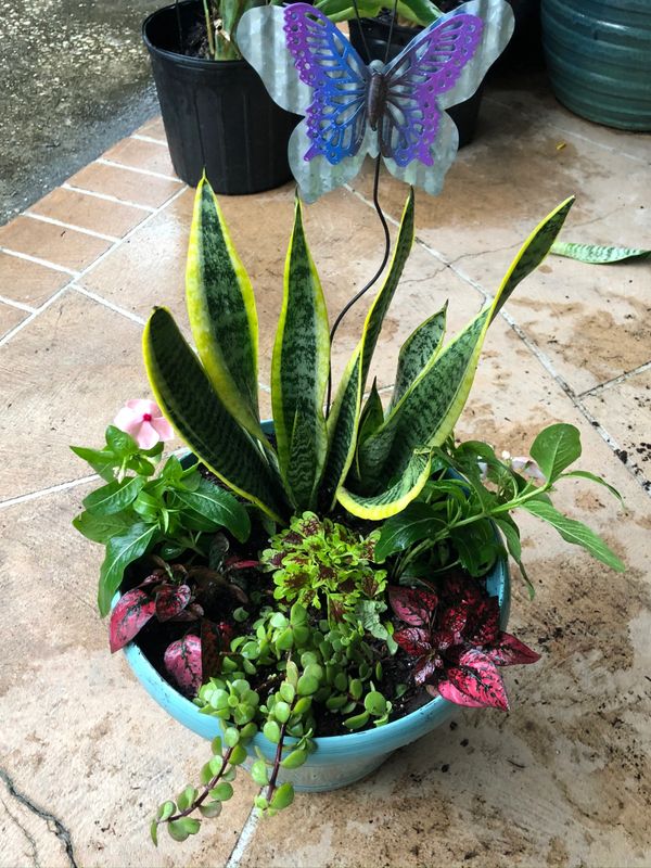Lawson Landscaping - Landscape Designer - Lake Charles, Louisiana