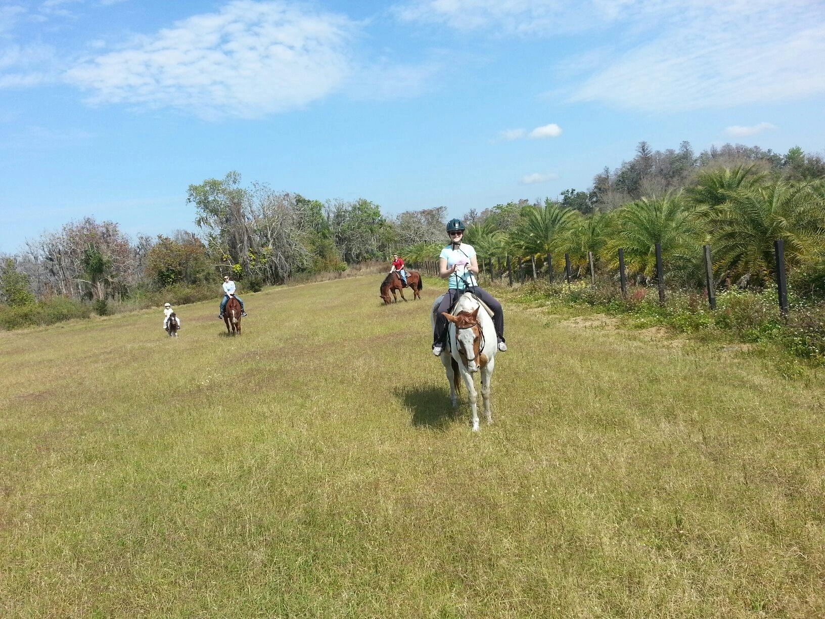 True Sky Stables - Horseback Riding - Tampa, Florida