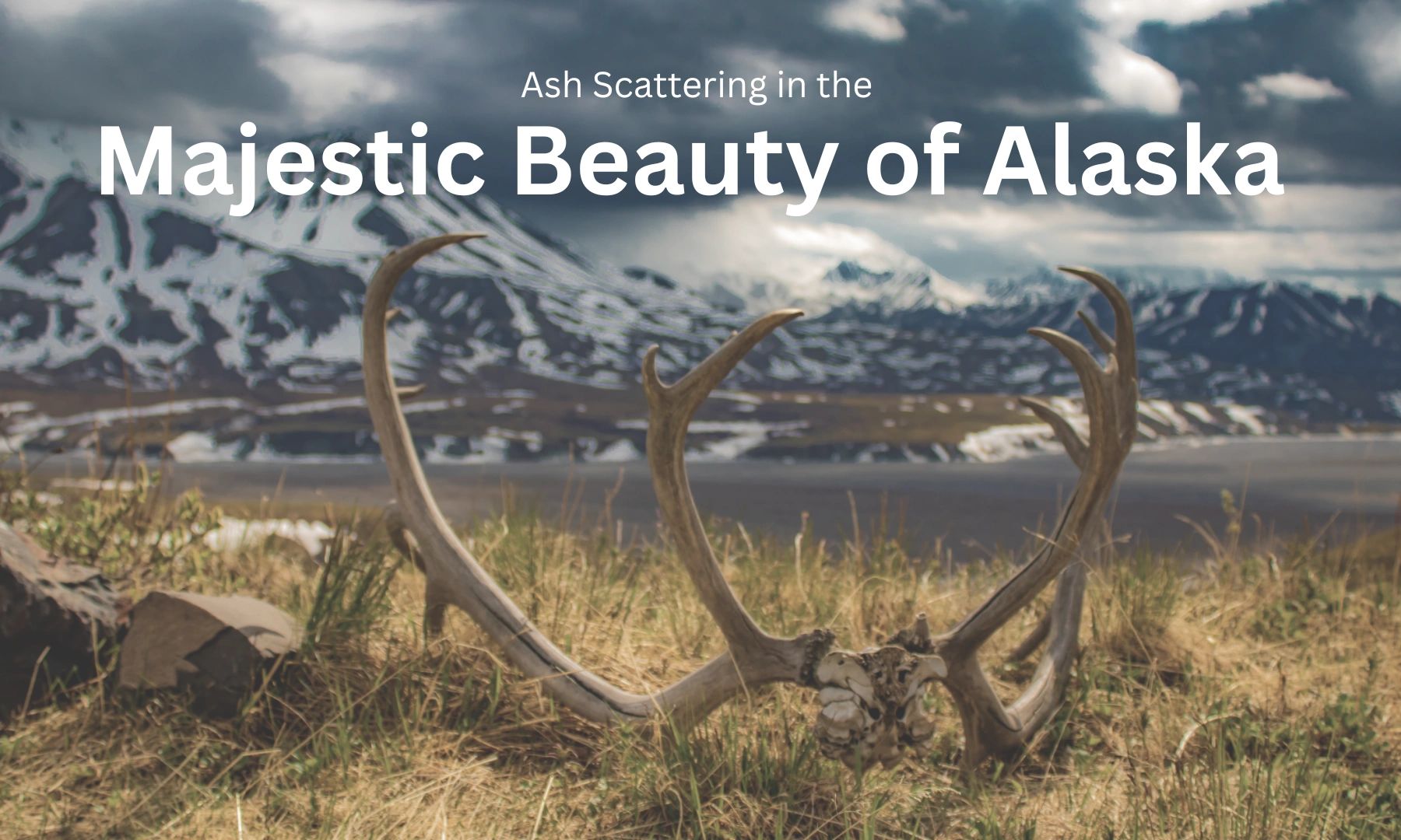 A Meaningful Farewell: Ash Scattering in the Beauty of Alaska