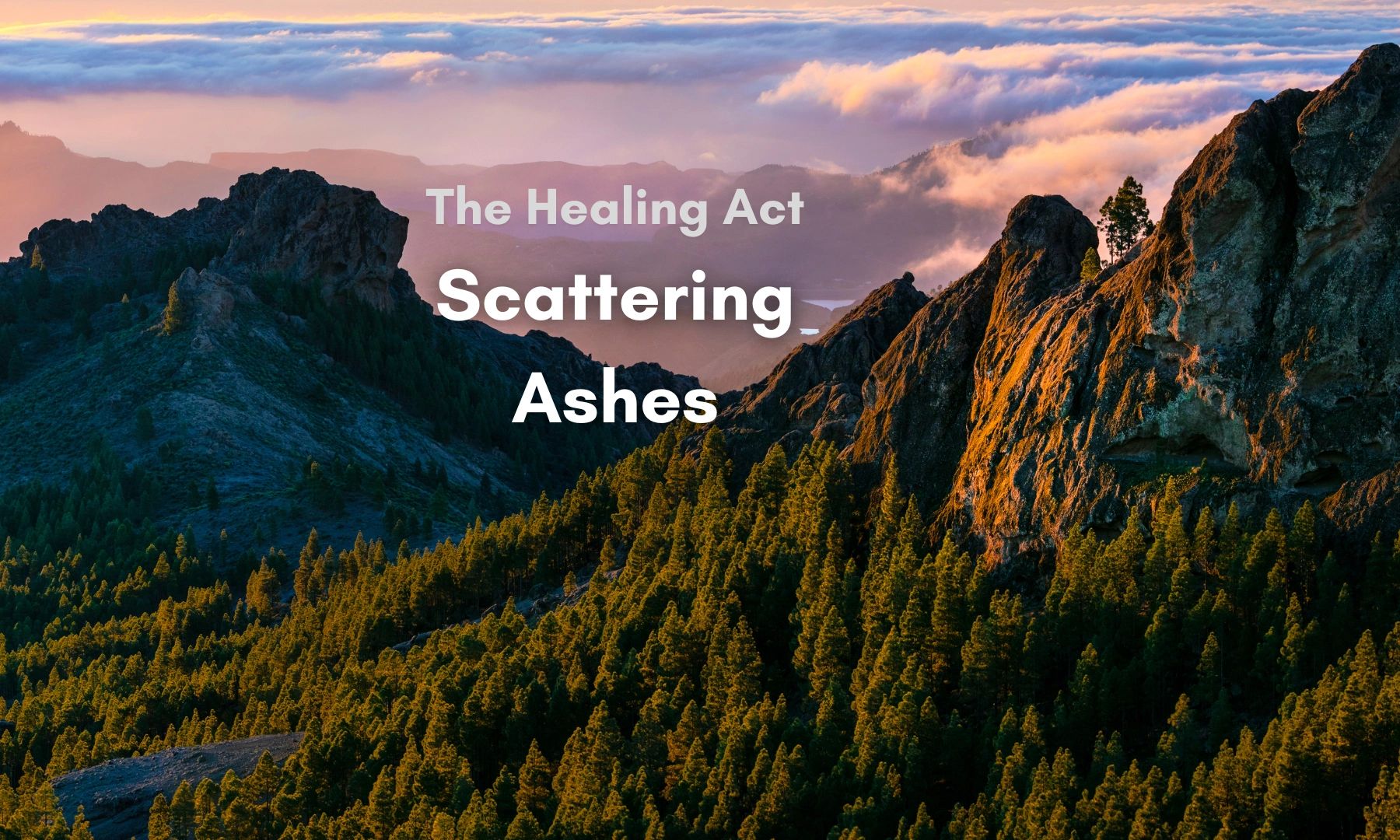 The Healing Act of Scattering Cremated Ashes