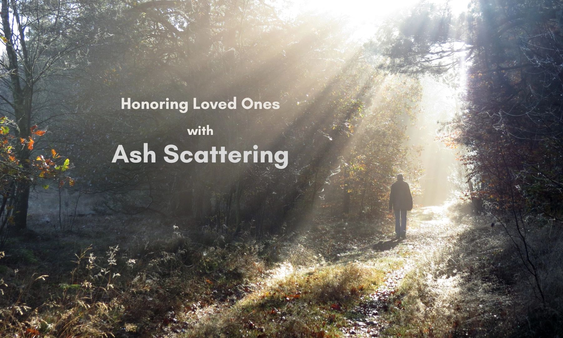 Honoring Loved Ones: The Significance of Ash Scattering