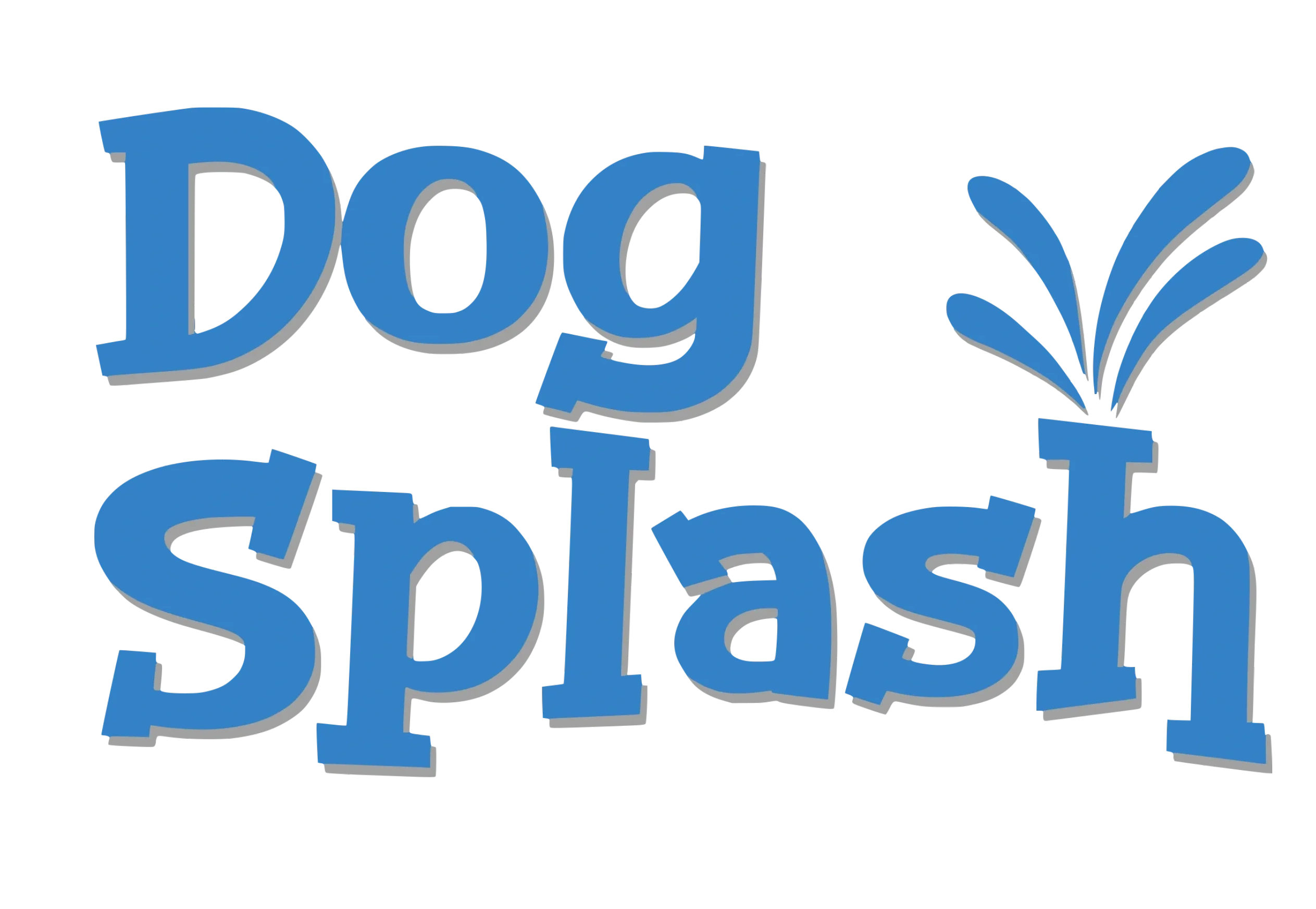 Gallery | Dog Splash