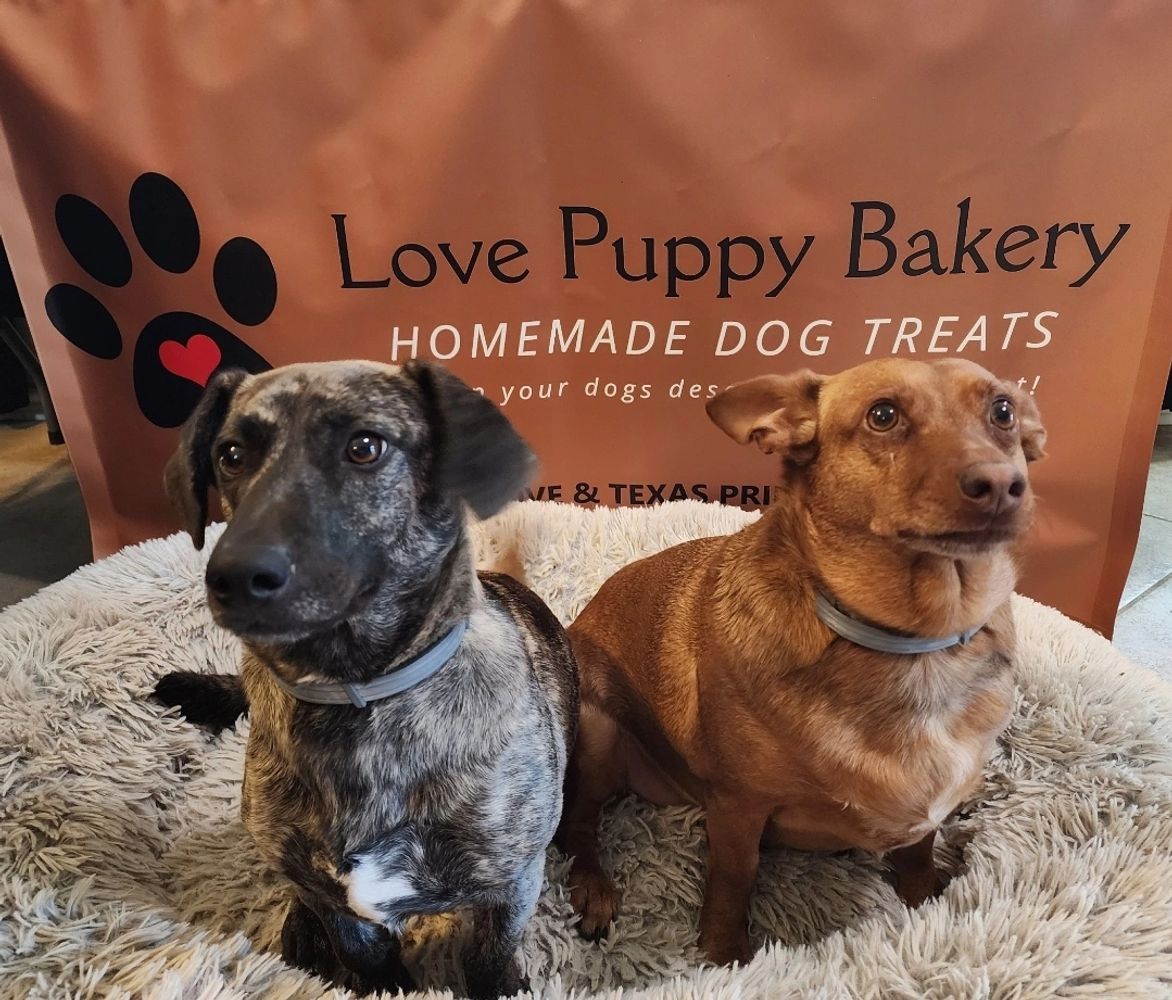 Love Puppy Bakery - Dog Bakery, Dog Treats, Dog Birthday Cake