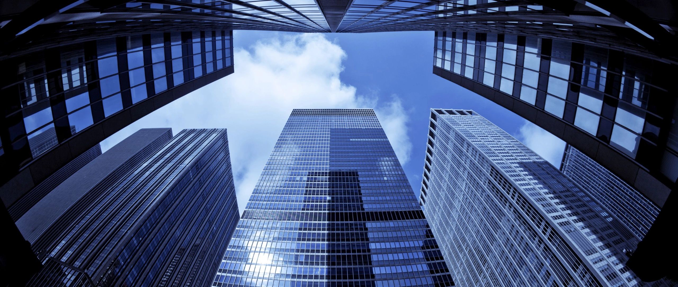 Allied International Group