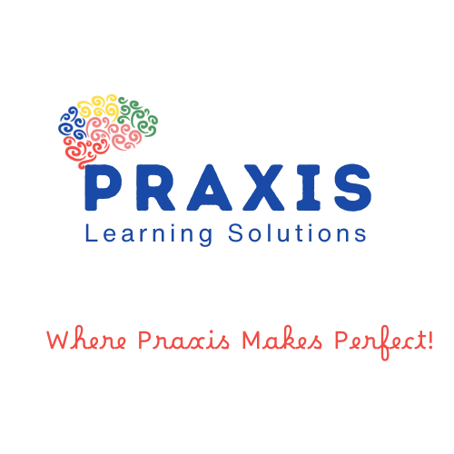Full Individual Evaluations - Praxis Learning Solutions