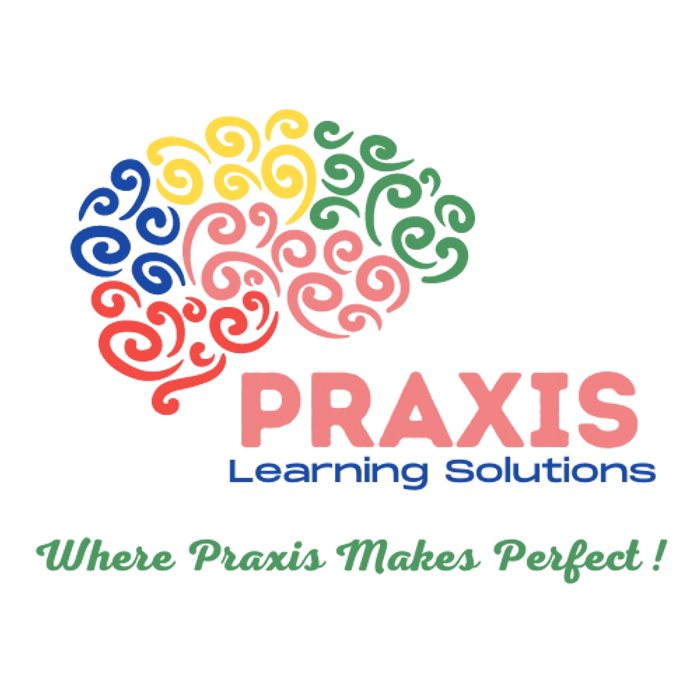 Full Individual Evaluations - Praxis Learning Solutions